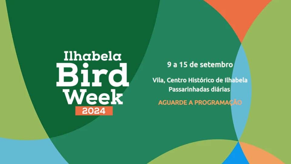 Ilhabela Bird Week 2024 - Ilhabela Guia de Viagem e Hospedagem