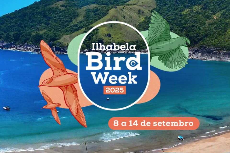 Ilhabela realiza Bird Week 2025 com programação especial de observação ...